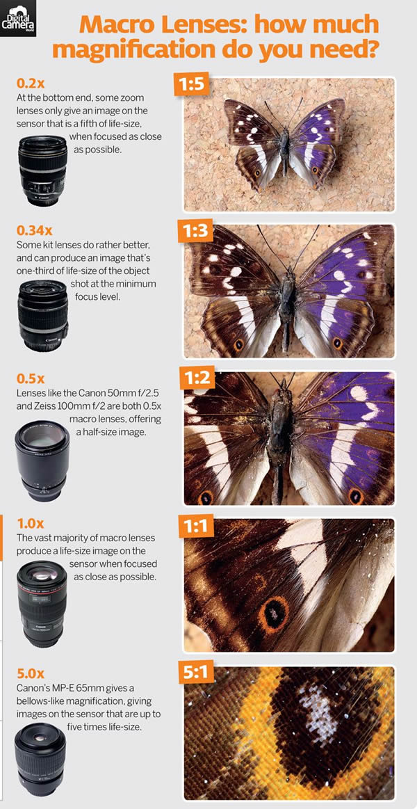 25 Most Useful Photography Cheat Sheets Part2 121Clicks