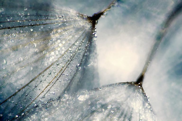 6 Simple Tips to take Fantastic Abstract Photography - 121Clicks.com