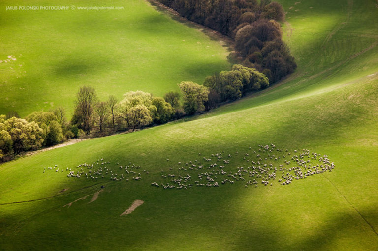 The Importance of Lines in Photography - An Overview with Superb Examples