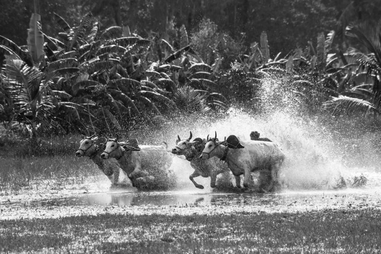 My Personal Best: Indian Photographer Mayukh Mitra - 121Clicks.com My Personal Best: Indian Photographer Mayukh Mitra - 121Clicks.com
