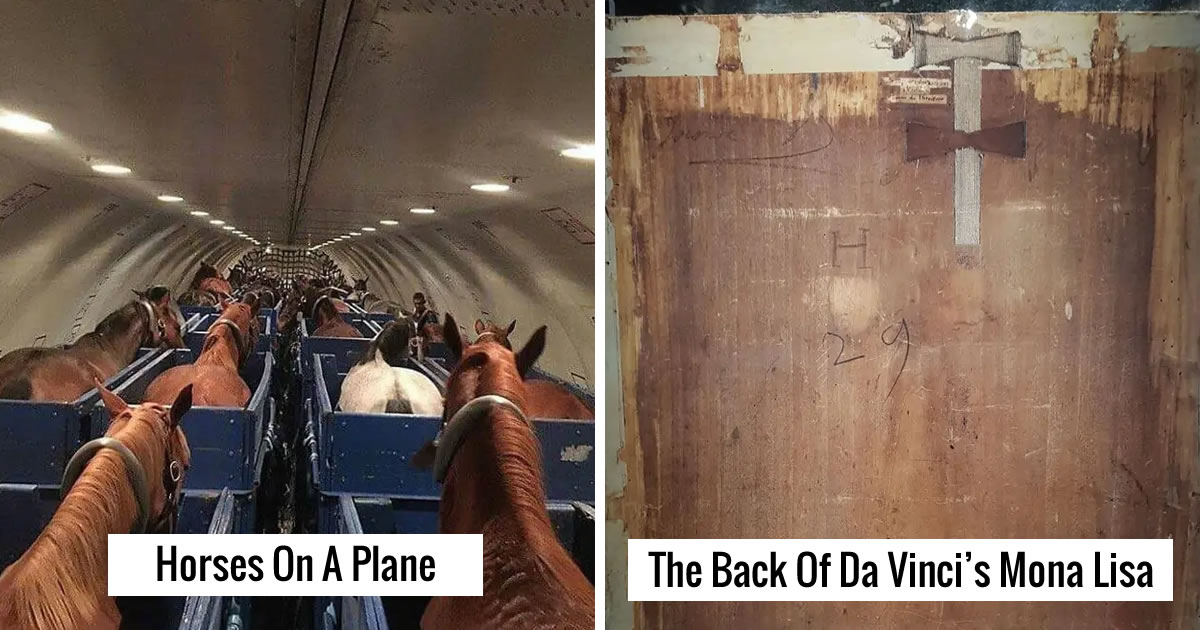 50 Amazing Photos That Reveal The Unseen Side Of Things