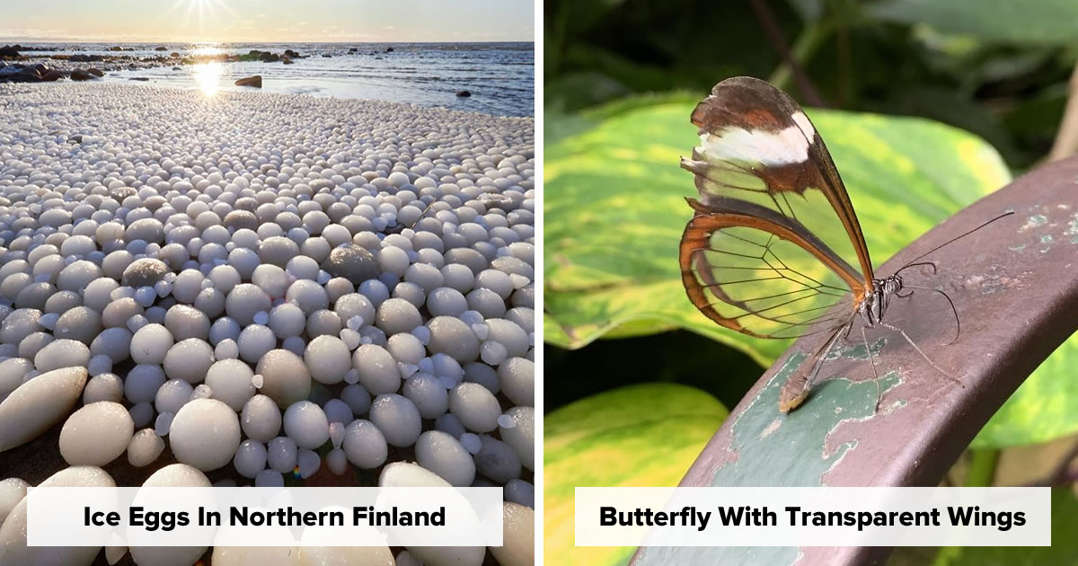 50 Amazing Photos That Reveal The Unseen Side Of Things