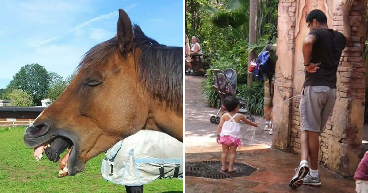 20 Funny Photos That Captured Unexpected Moments In Life