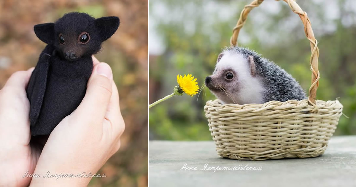 Artist Creates Beautiful & Realistic Handmade Felted Wool Animals