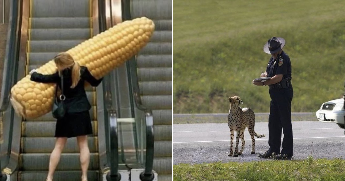 30 Funny And Confusing Pics Posted By The Online Twitter Page