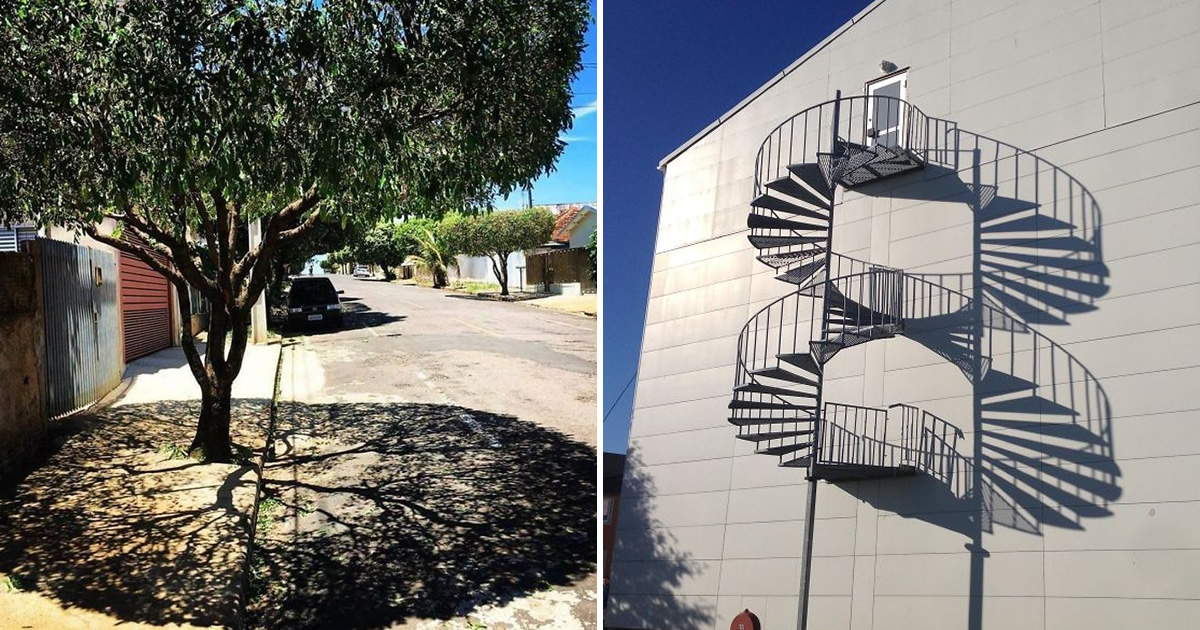 25 Photos Of Surprising Shadow Illusions That Made Them Look Twice