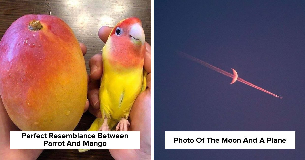 40 Photos Of Oddly Satisfying Things That Will Please Your Inner ...