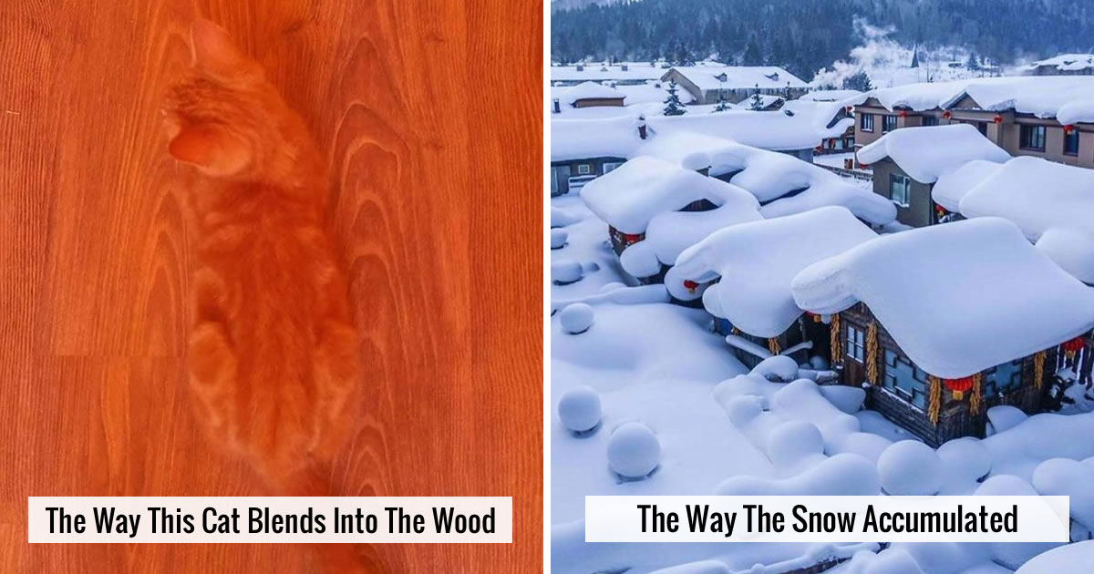 40 Photos Of Oddly Satisfying Things That Will Please Your Inner ...