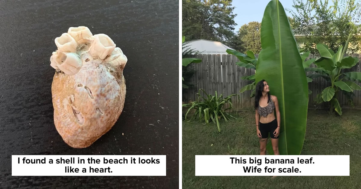 25 Interesting Photos That Shows Ordinary Things Suddenly Decided To ...