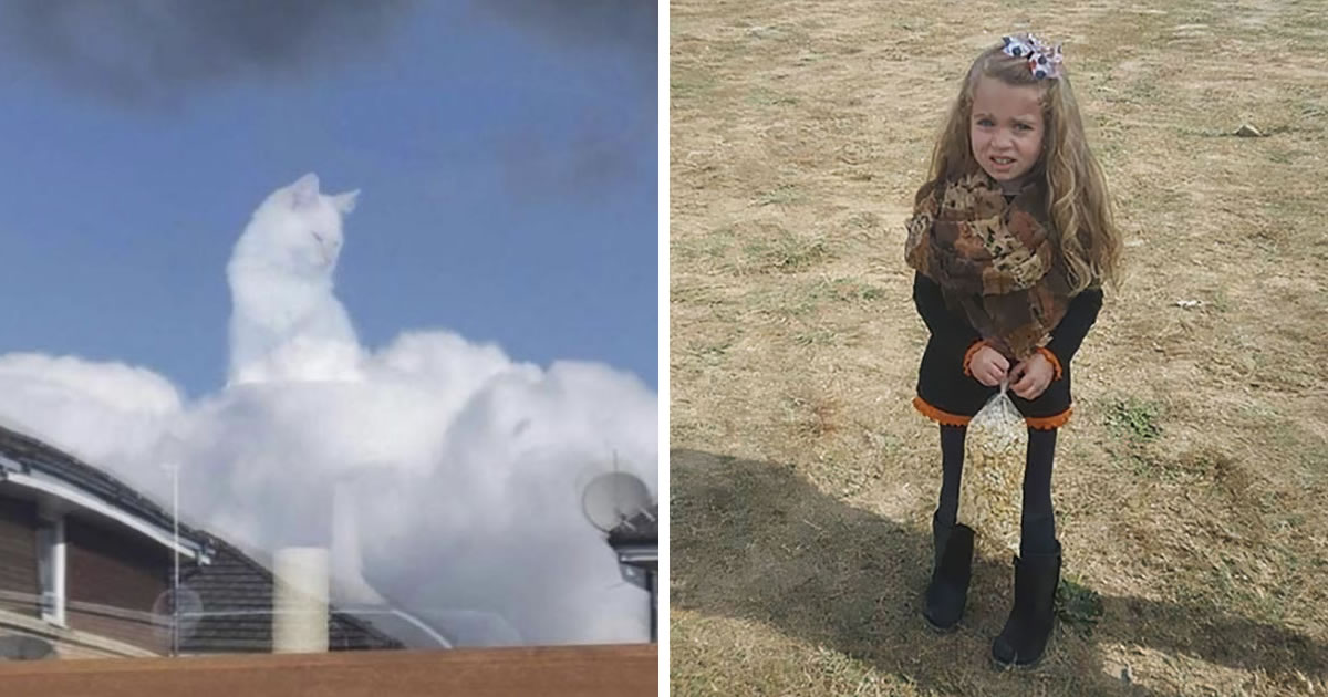 30 Interesting Optical Illusion Photos That Will Make You Look Twice