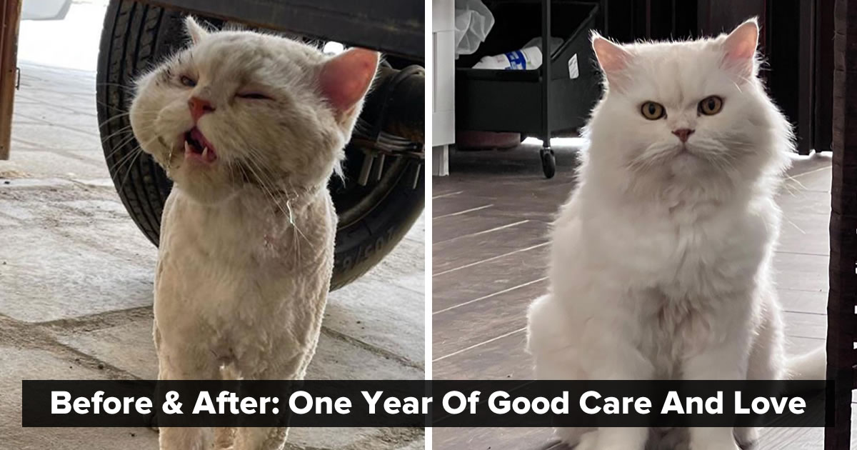 30 Interesting Comparison Photos That Will Change The Way You Look At ...