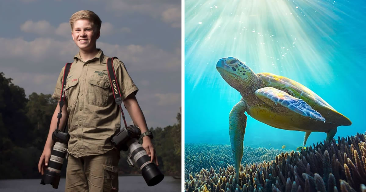 25 Photos Taken By Steve Irwin’s 18-Year-Old Son Who Is An Award ...