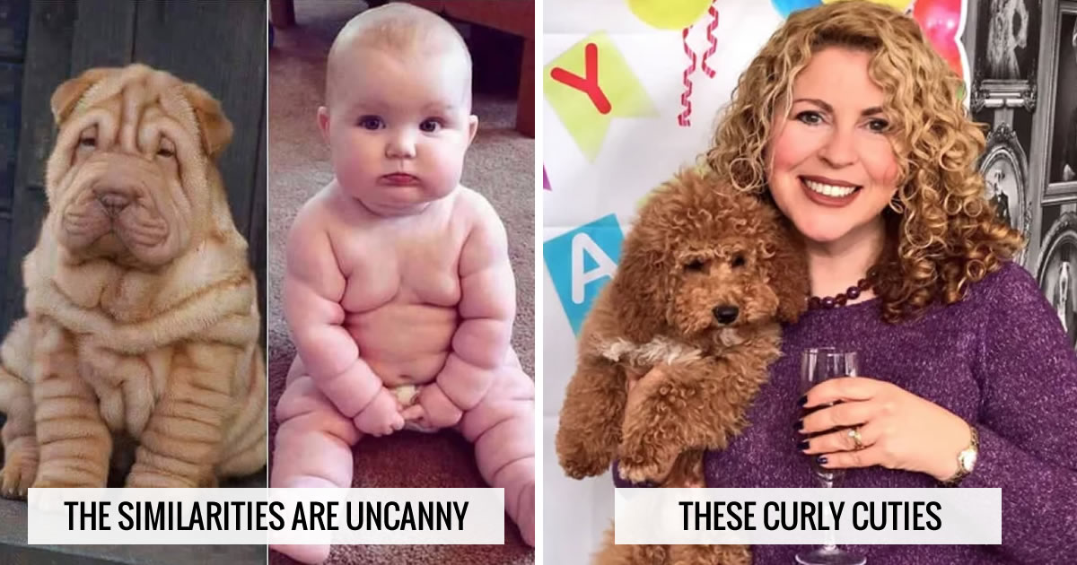 30 Hilarious Photos Of Dogs Who Look Just Like Their Human Friends