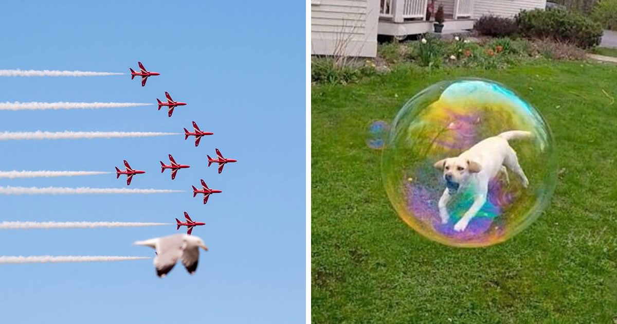 30 Funny And Interesting Coincidences Photos Caught On Camera At ...