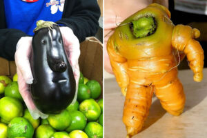 25 Photos Of Unusually Funny-Shaped Fruits And Vegetables