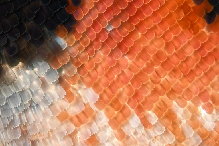 50 Most Strange & Haunting Color Portraits For Your Inspiration