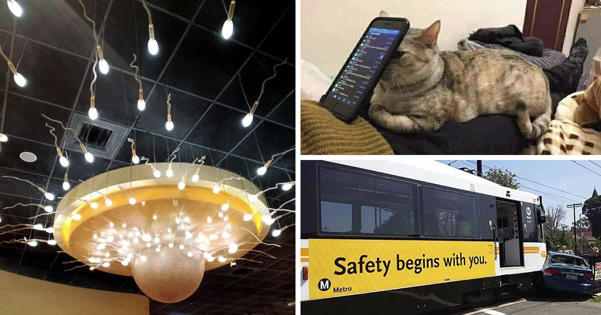 25 Simple & Interesting Photos Without Context That Get Weirder The ...