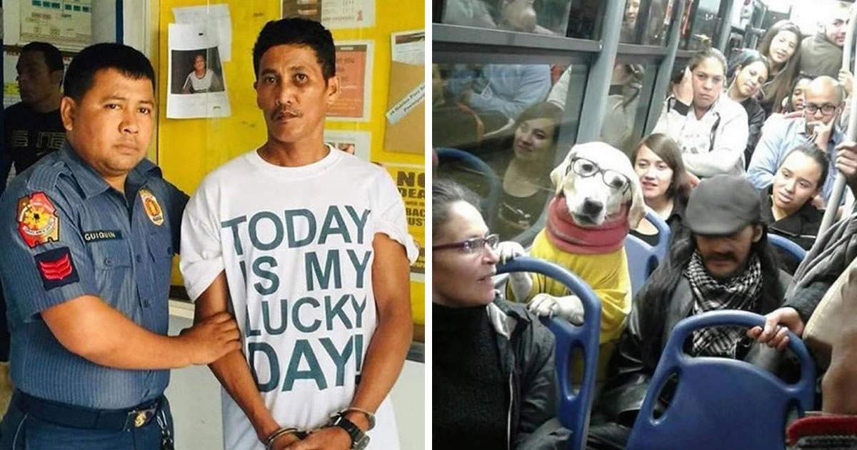 Lost in Translation: 25 Photos That Will Leave You Puzzled and Perplexed