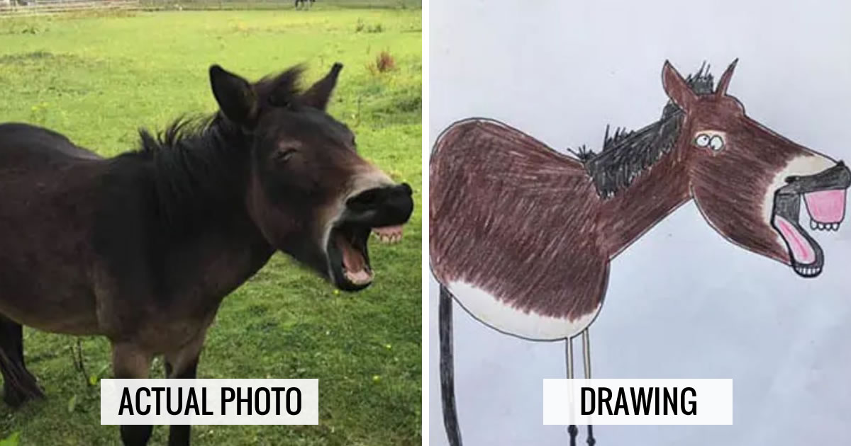 30 Animal Portraits Drawn So Bad That Will Make You Smile