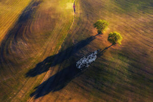 30 Stunning Award-Winning Landscape Photographs For Your Inspiration