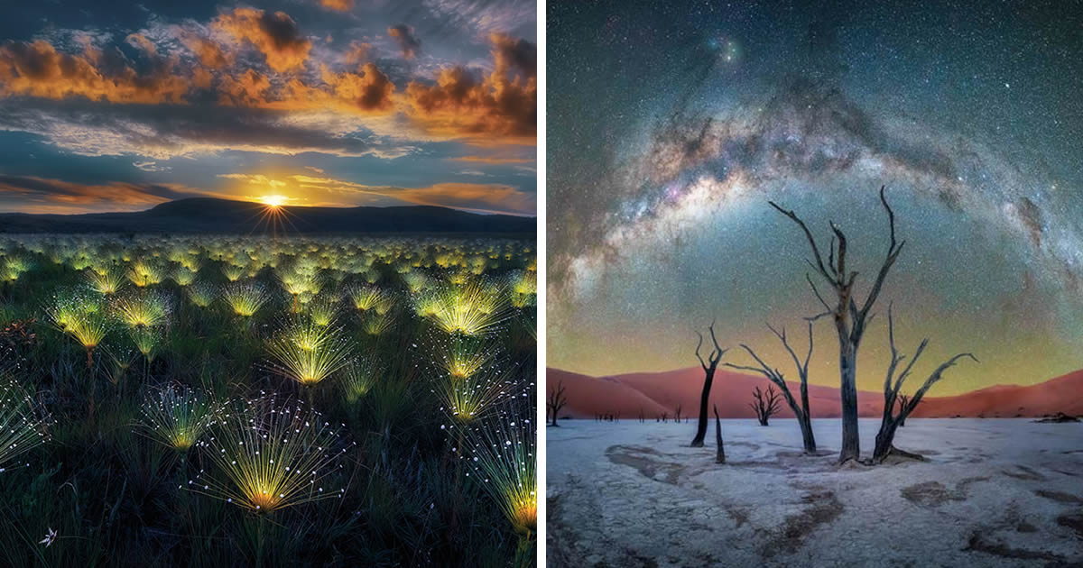 40 Best Award-Winning Landscape Photos of 2024 - 121Clicks.com