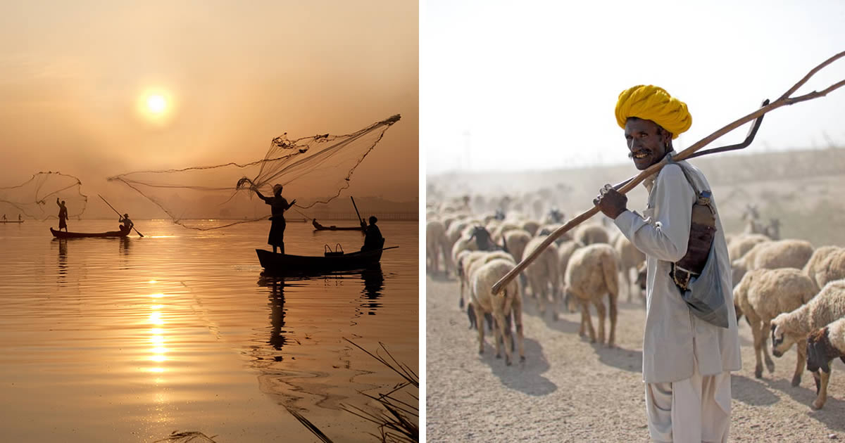 Through the Lens of Simplicity: 50 Photographs That Capture the Heart ...
