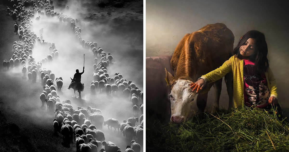 Award-Winning Photographer F. Dilek Yurdakul Documenting Stories and ...
