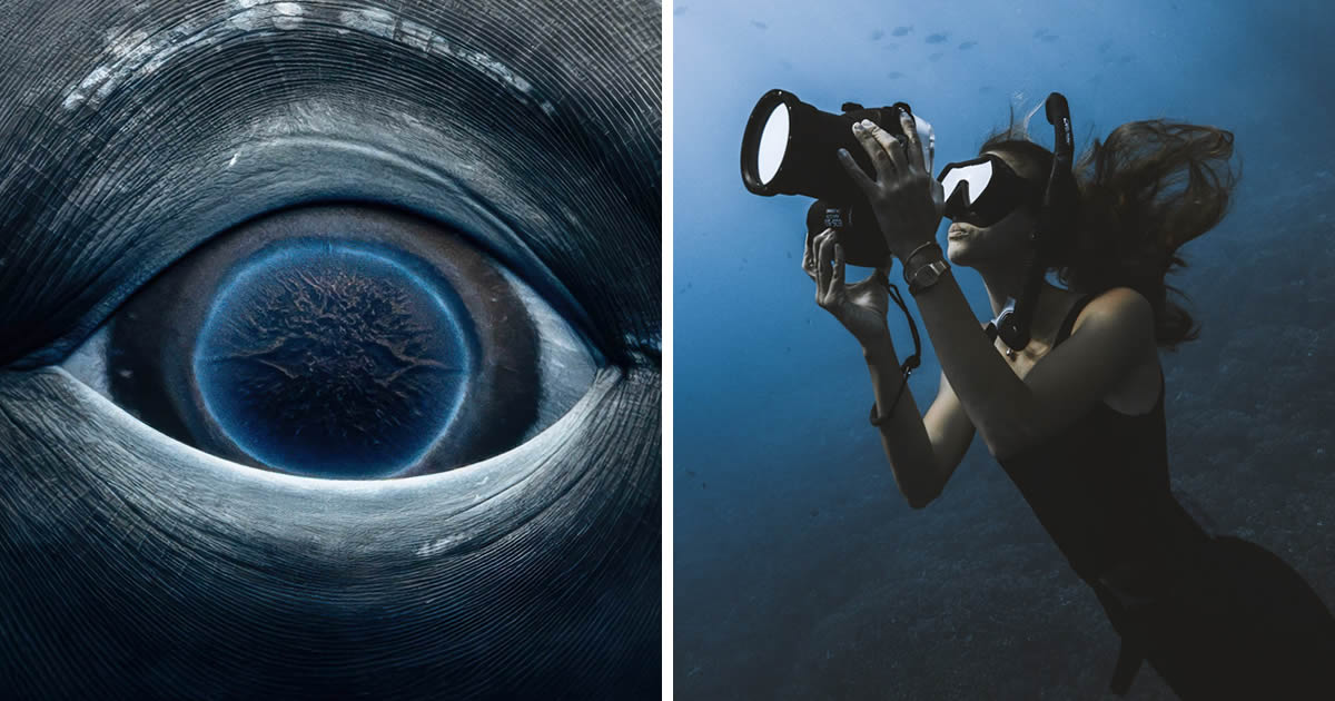 Award-Winning Photographer Rachel Moore Captures Breathtaking ...