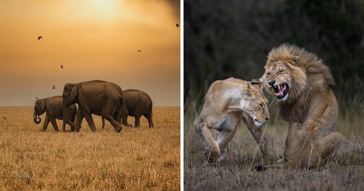 Indian Photographer Ratish Nair's Journey into Wildlife Photography and ...