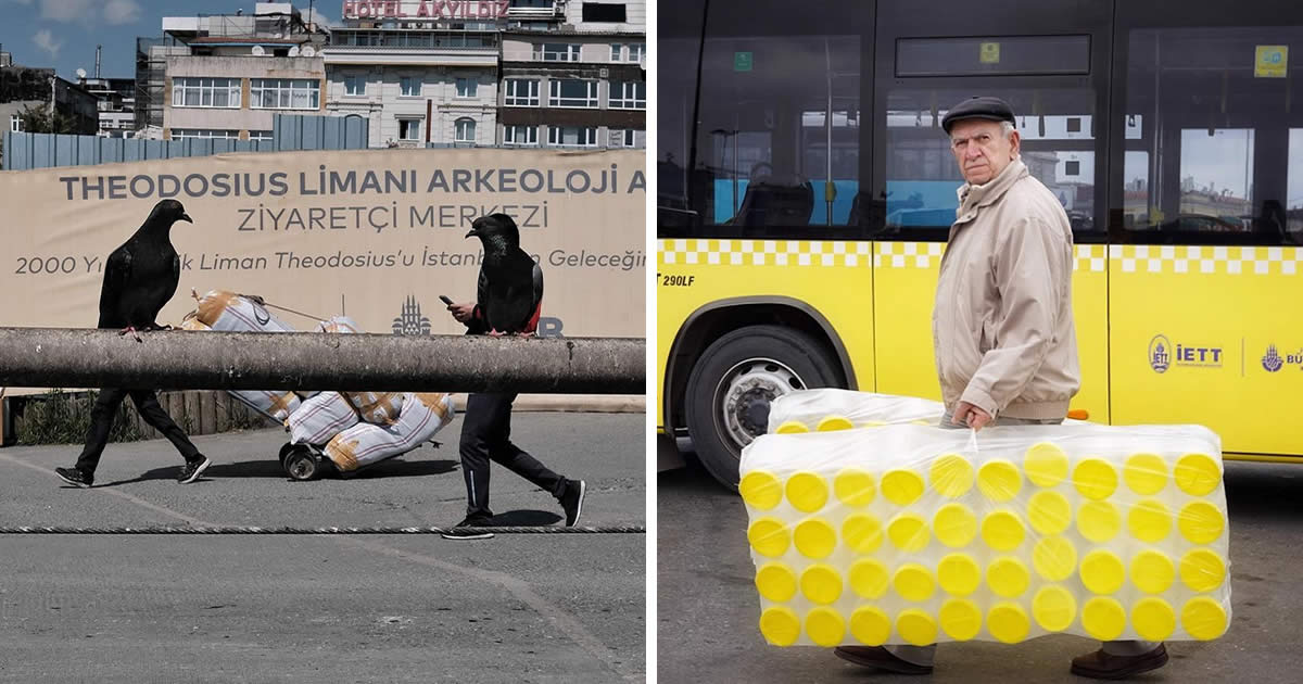 Photographer Alper Eryiğit Captures Humorous, Perfectly Timed Moments ...