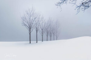 Photographer Janet Capling is Redefining Minimalism Through Fine Art ...