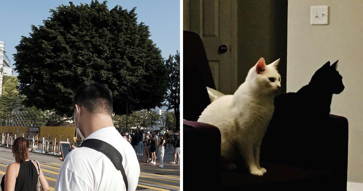 25 Mind-Bending Perspective Photos That Will Make You Look Twice