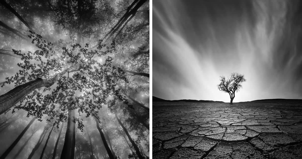 25 Breathtaking Award-Winning Nature Photos to Inspire Your Next Adventure