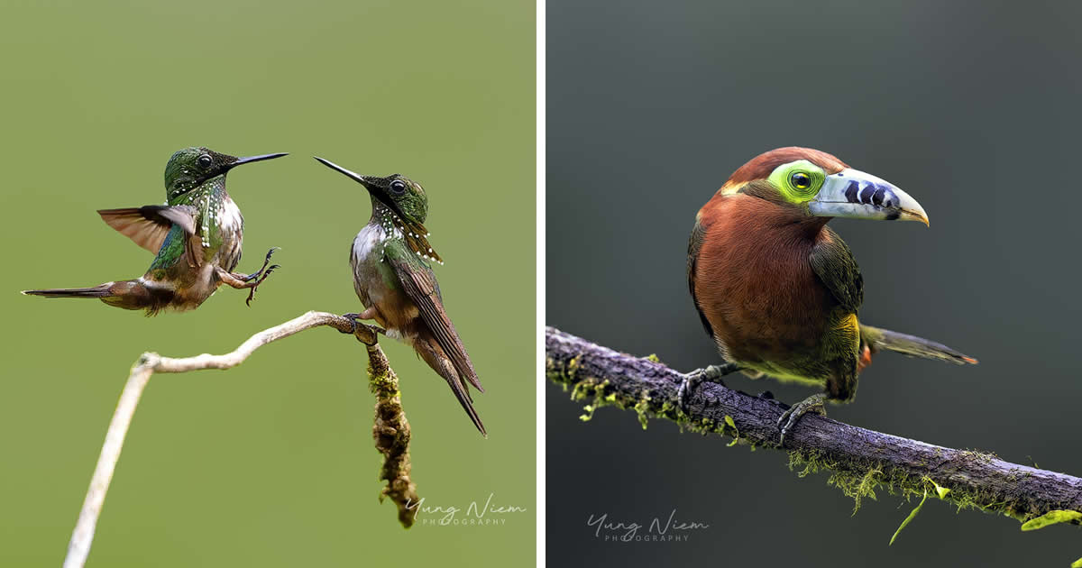 Canadian Nature Photographer Yung Niem Captures Beautiful Photos of ...