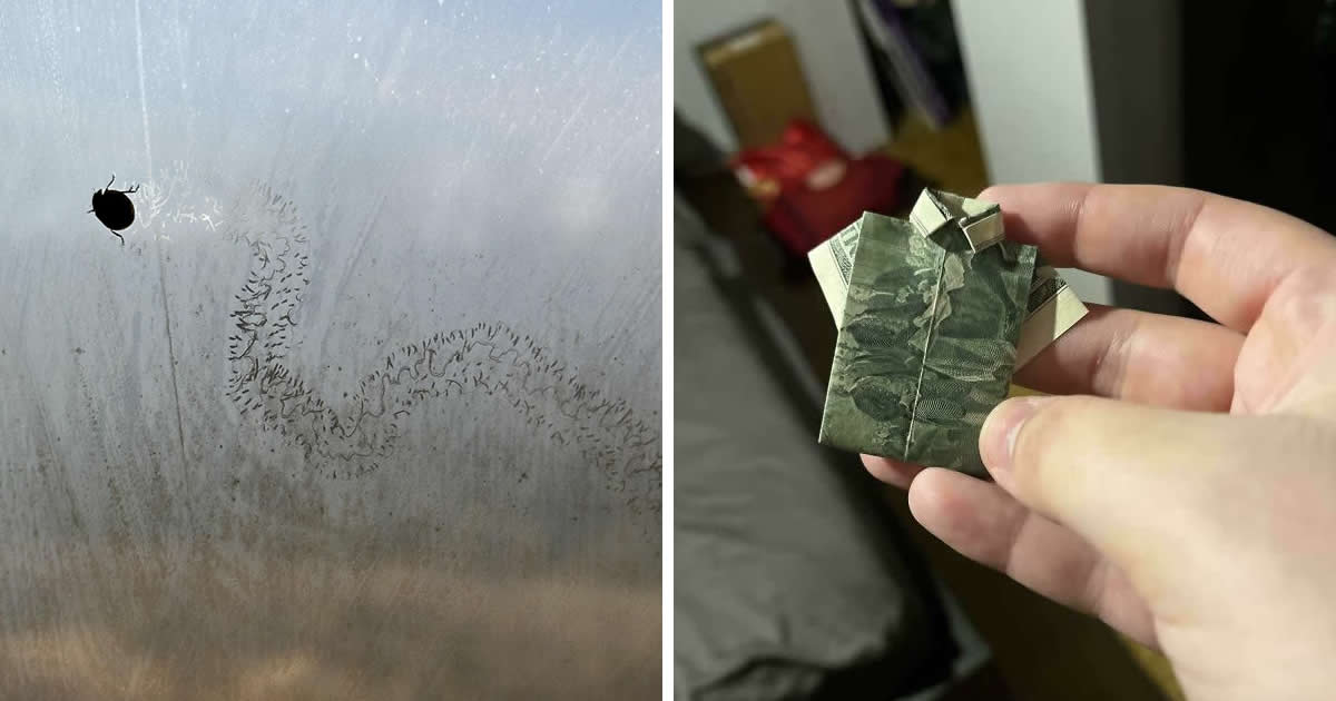 24 Hilarious Photos of Everyday Things You Probably Never Noticed Before