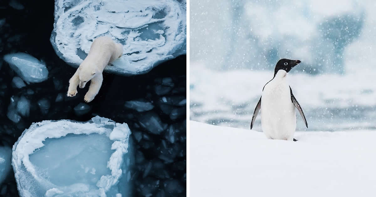 Award-Winning Photographer Benjamin Hardman Captures Nature and ...