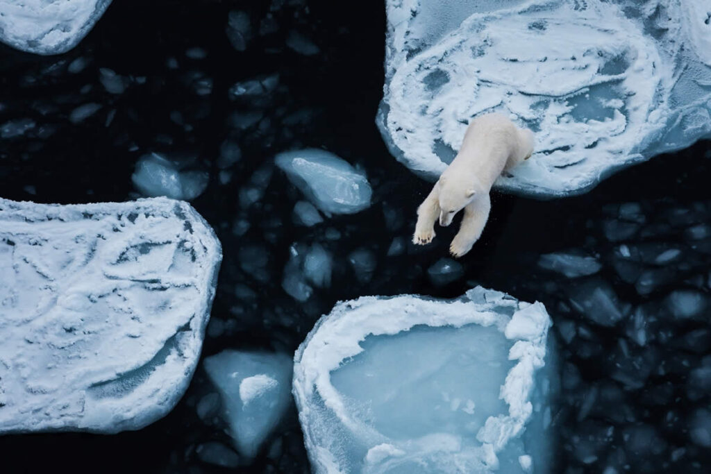 Street Photographer Jeffrey De Keyser Captures Humorous And Unexpected ...