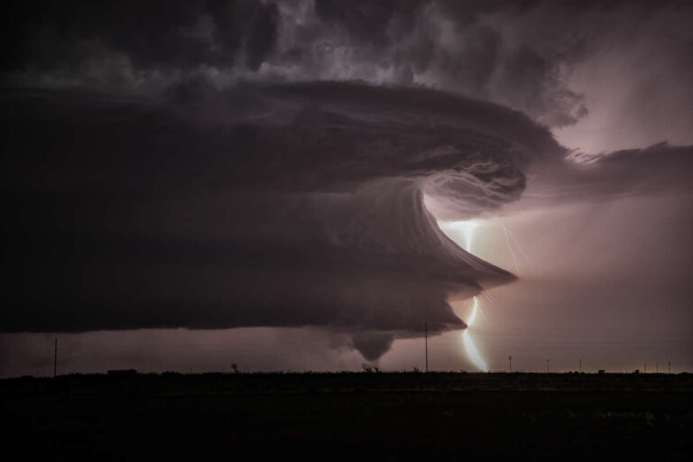 20 Outstanding Winning Nature Photos from the 2024 International Photo ...