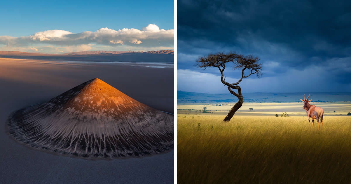 23 Breathtaking Award-Winning Nature Photos from the 2024 Tokyo ...
