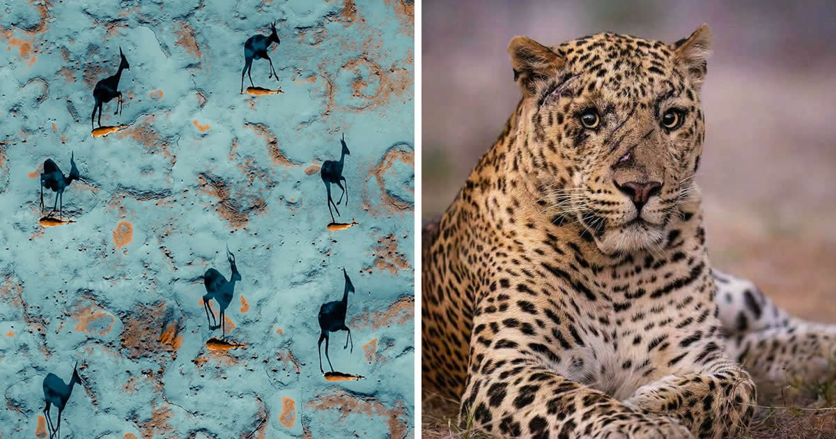 25 Breathtaking Photos That Capture the Untamed Beauty and Wonder of Nature