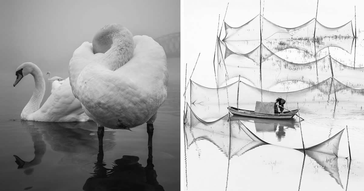 40 Award-Winning Fine Art Photos That Redefine Visual Storytelling