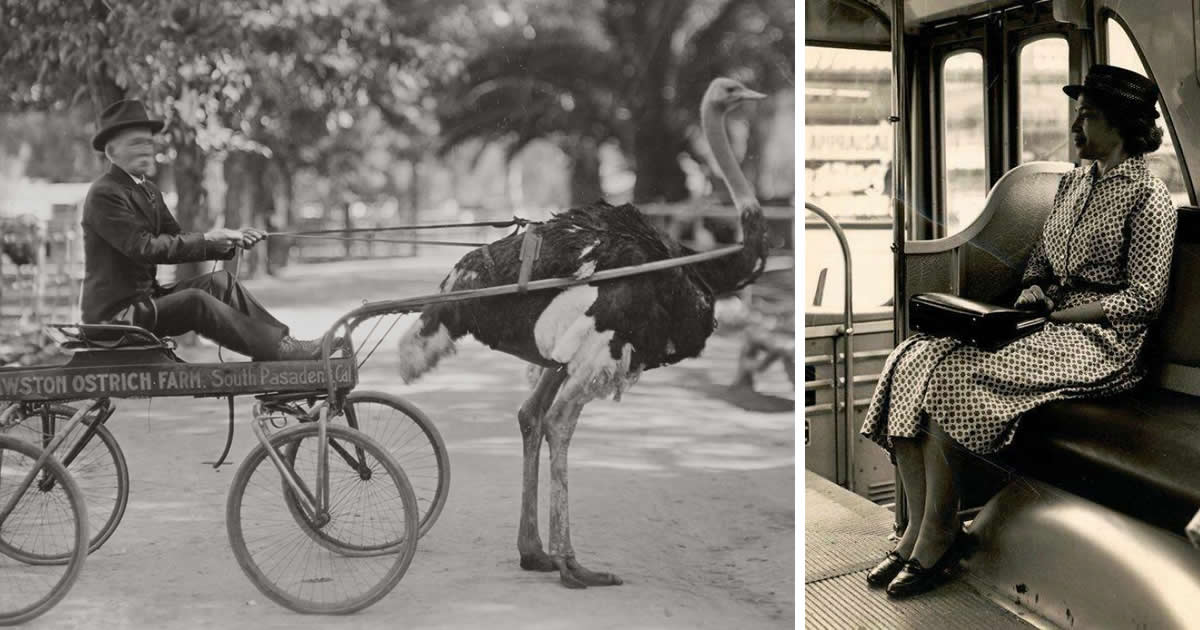 30 Powerful Historical Photos That Will Change the Way You See the Past