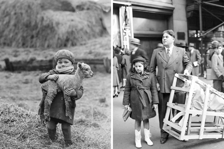 35 Fascinating Historical Photos That Reveal Daily Life 50–100 Years ...