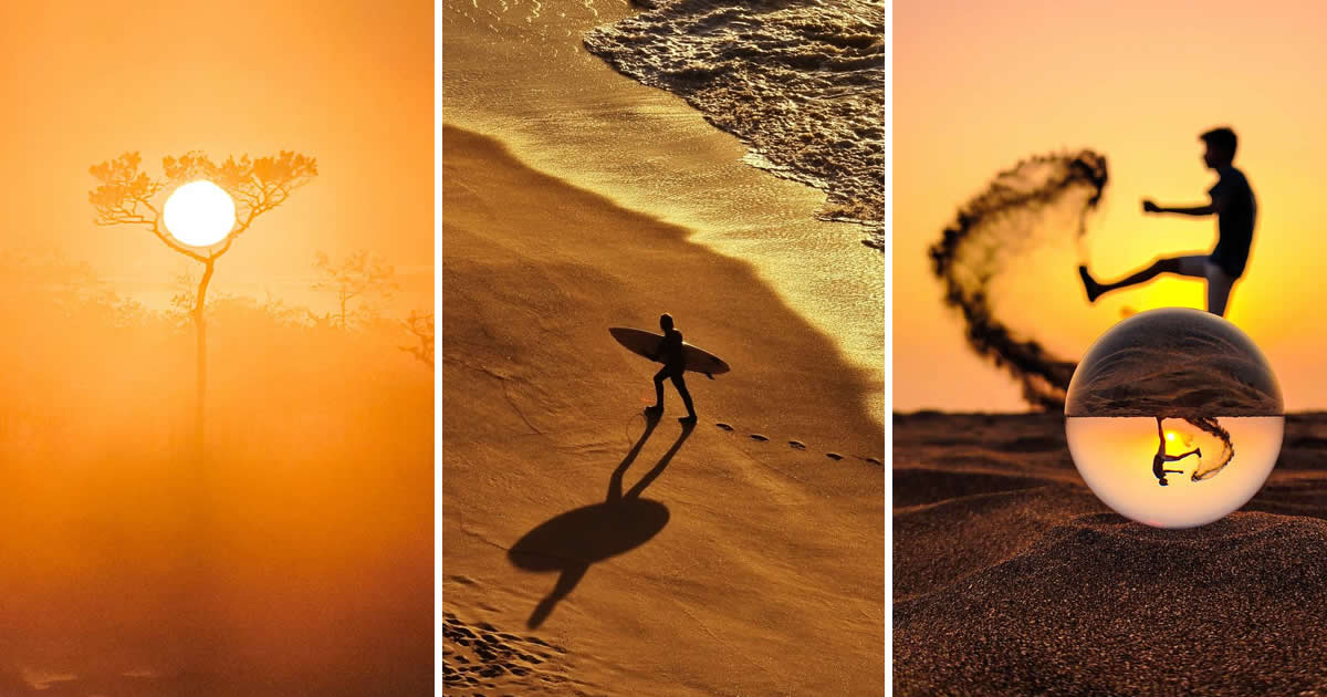 30 Award-Winning Mobile Photos That Prove Smartphones Can Capture Magic ...