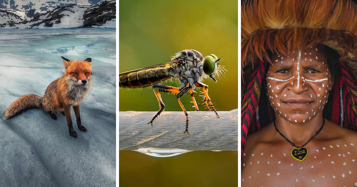 15 Award-Winning Photos Shot on Mobile That Prove You Don’t Need a ...