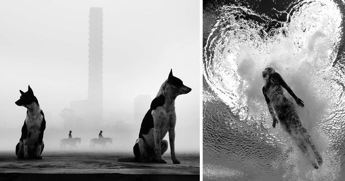 30 Inspiring Award-Winning Photos from the Sublime Photo Awards 2025 ...