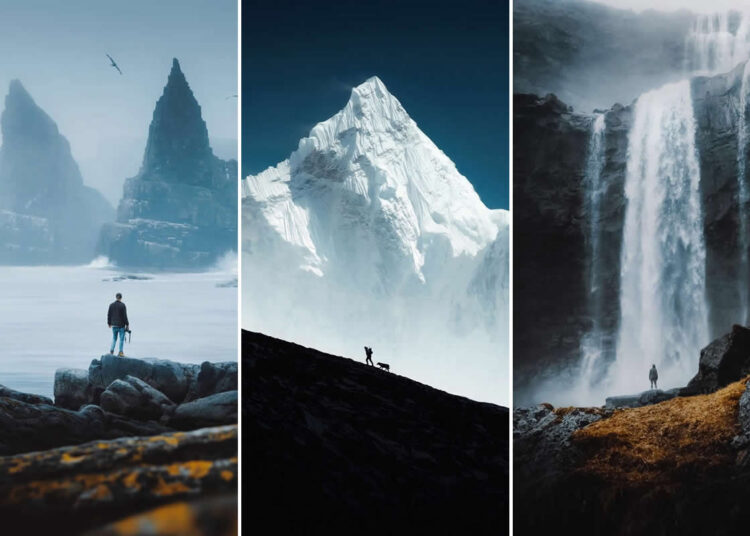 Nature Photographer Jan Wegener Captures Artistic Bird Photos In Their ...