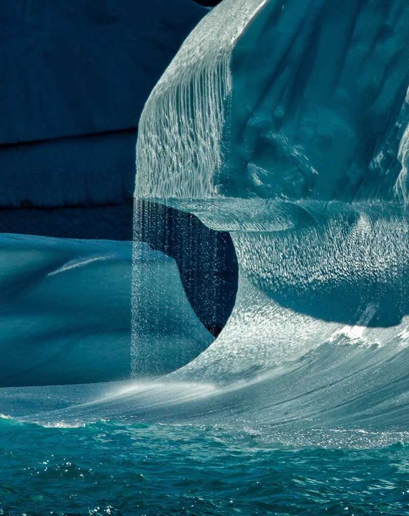 23 Outstanding Winners of the 2025 Refocus International Photographer ...